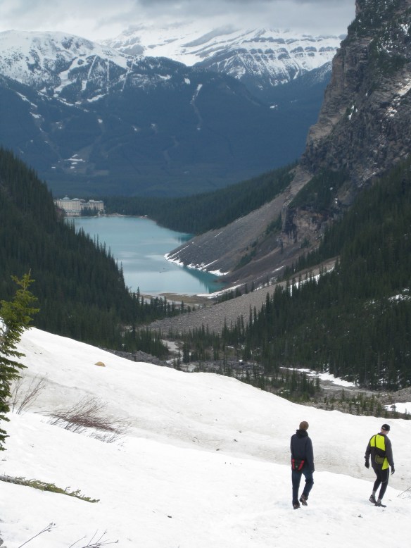 Jasper | Superior Footprints